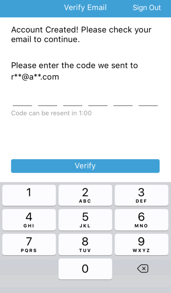 Using And Troubleshooting The Blink App - DVRCMS.Com