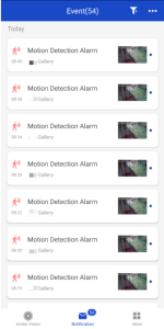 ANNKE VISION General Guide Of Watching Cameras - DVRCMS.Com